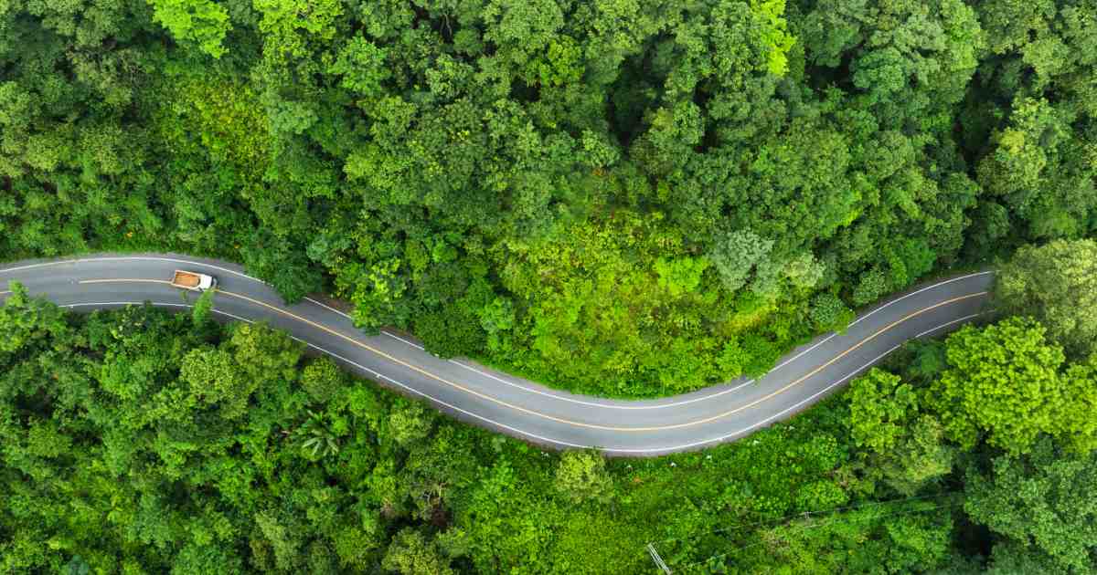 Fleet digitization | Visa