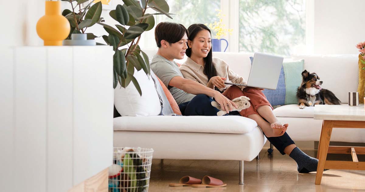 DoggieLawn case study | Visa Acceptance Solutions | Visa